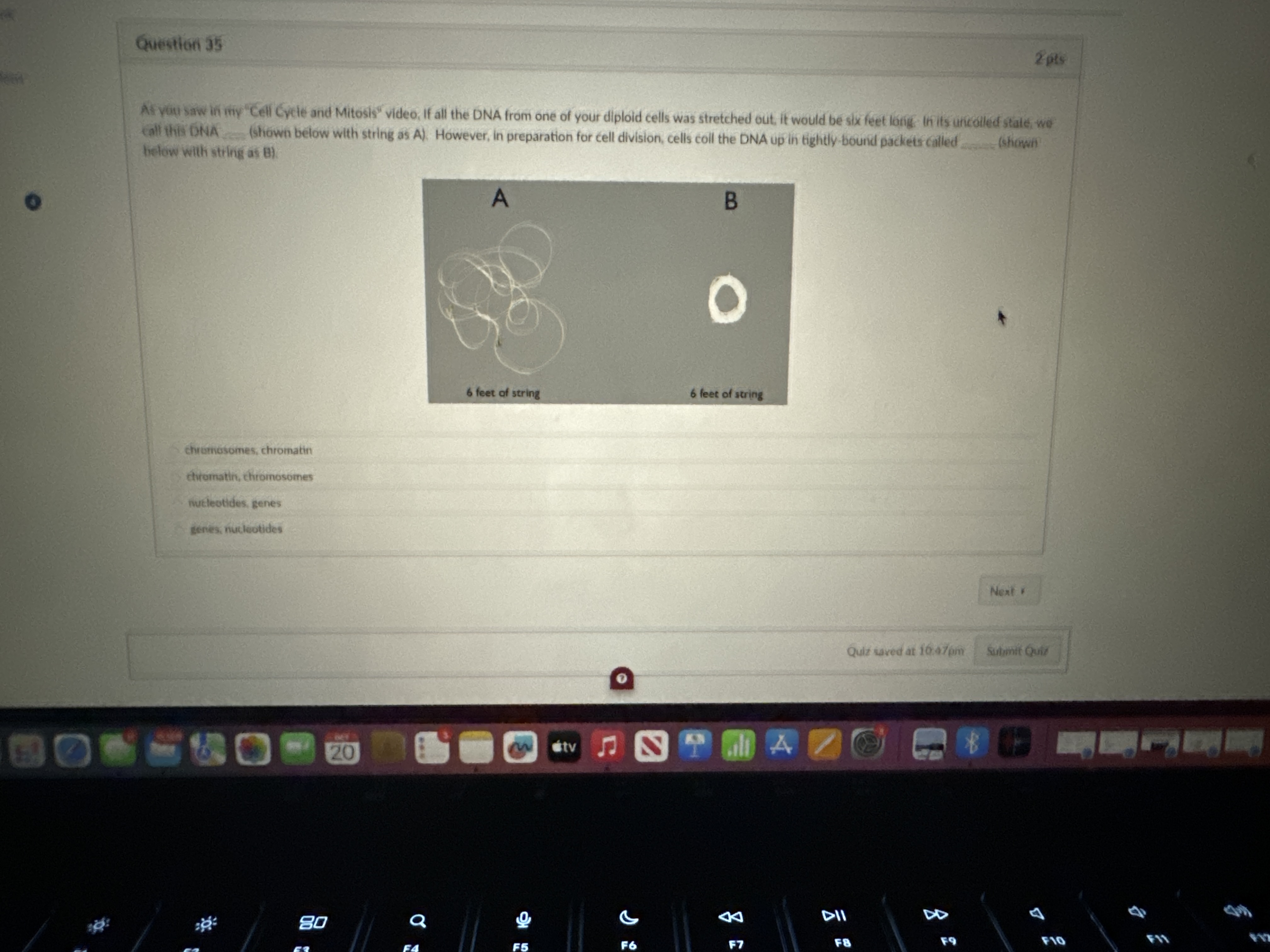 Guestion 35 zets As you saw in miy "Cell Cycle and Mitosis" video, If ...