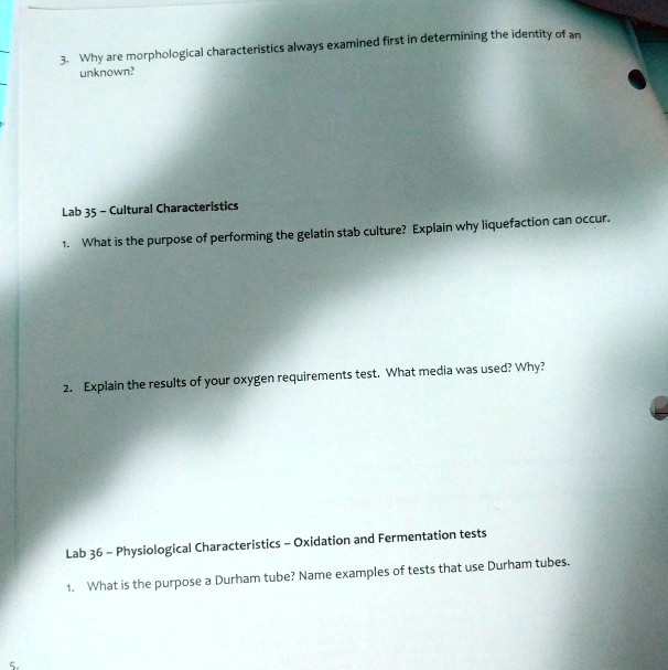 SOLVED: Texts: When examining the text provided thoroughly to identify and correct any spelling ...