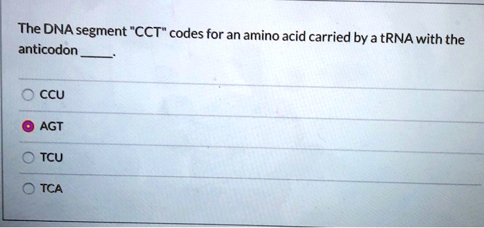 SOLVED: The DNA segment "CCT" codes for an amino acid carried bya tRNA ...