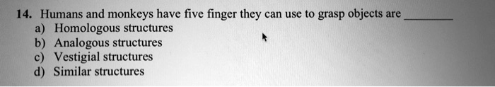 14. Humans and monkeys have five finger they can use to grasp objects ...