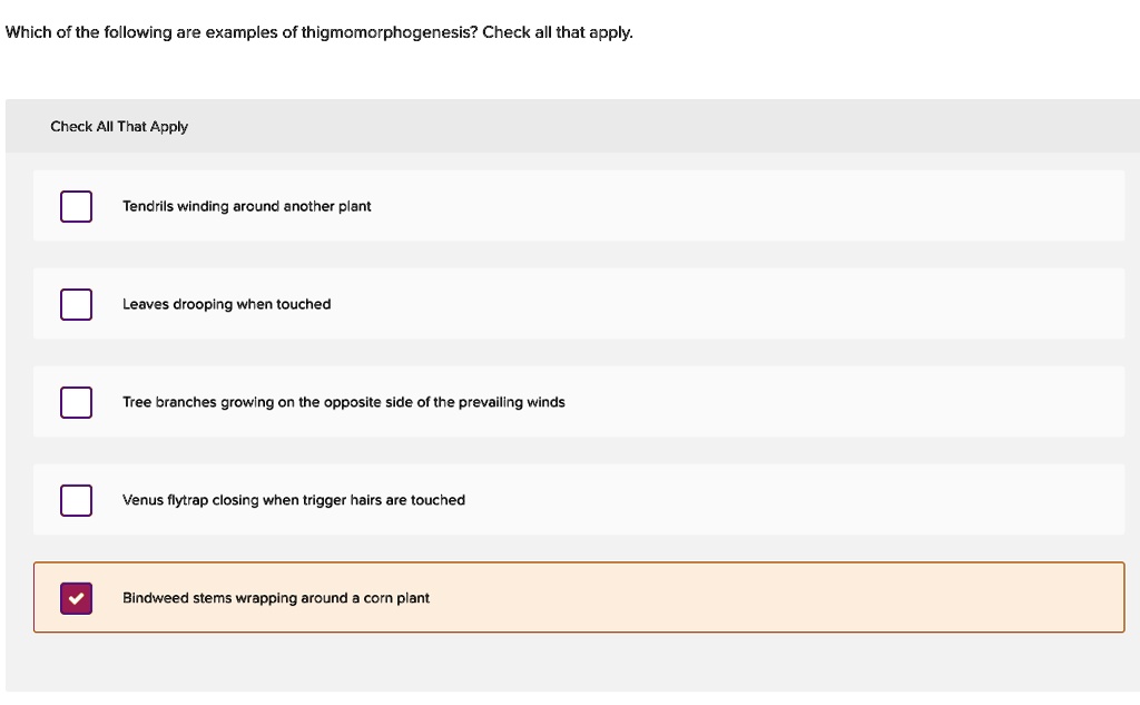 SOLVED: Which of the following are examples of thigmomorphogenesis ...