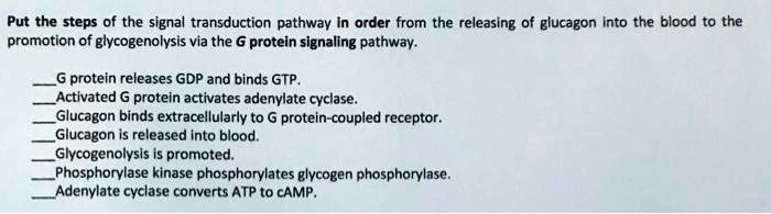 SOLVED: Put the steps of the signal transduction pathway in order from ...