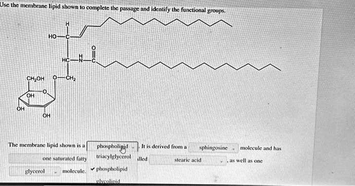 Use the membrane lipid shown to complete the passage and identify the ...