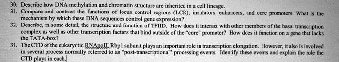 SOLVED: Describe how DNA methylation and chromatin structure are ...