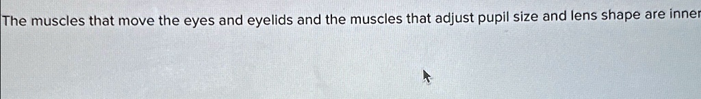 the muscles that move the eyes and eyelids and the muscles that adjust ...