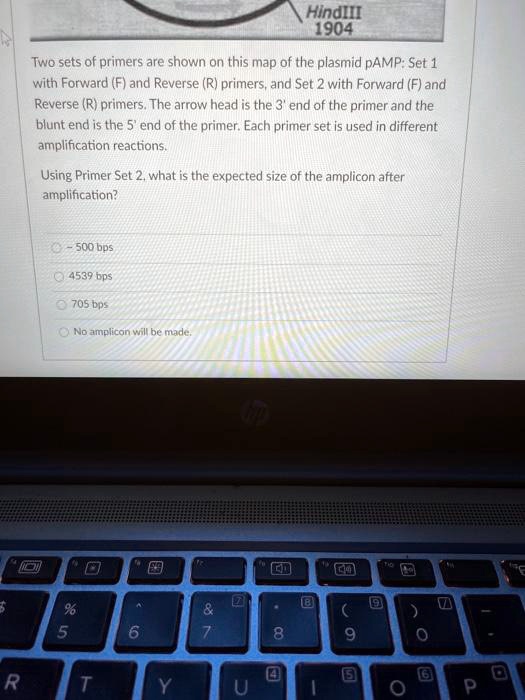 SOLVED:KindIlI 1904 Two sets of primers are shown on this map of the ...