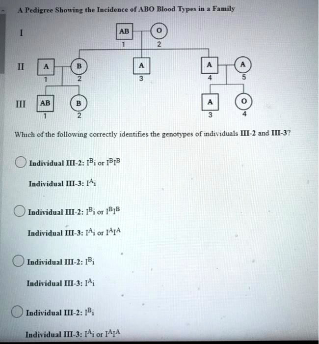 SOLVED: Pedigree Showing the Incidence of ABO Blood Types in Family AB ...