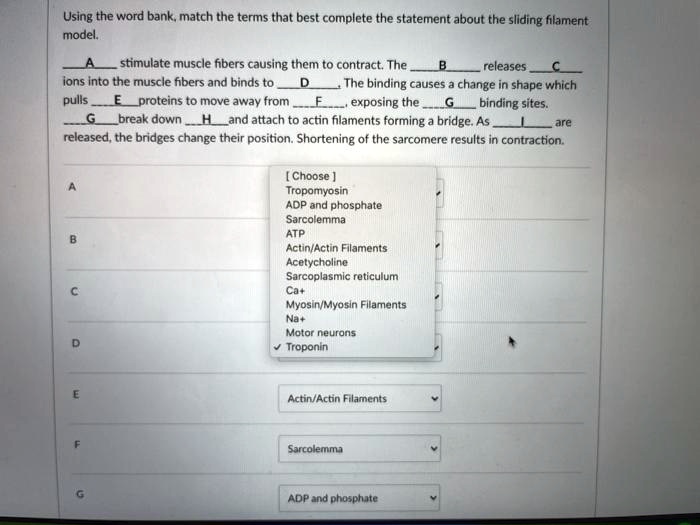 SOLVED: Using the word bank; match the terms that best complete the statement about the sliding ...