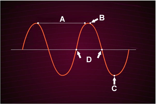 SOLVED: "In the diagram below, which of the following represents the ...