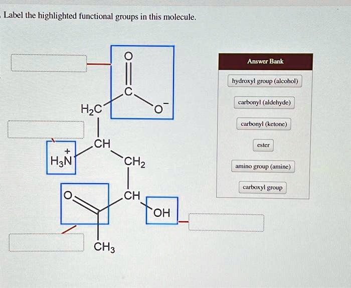 Label the highlighted functional groups in this...