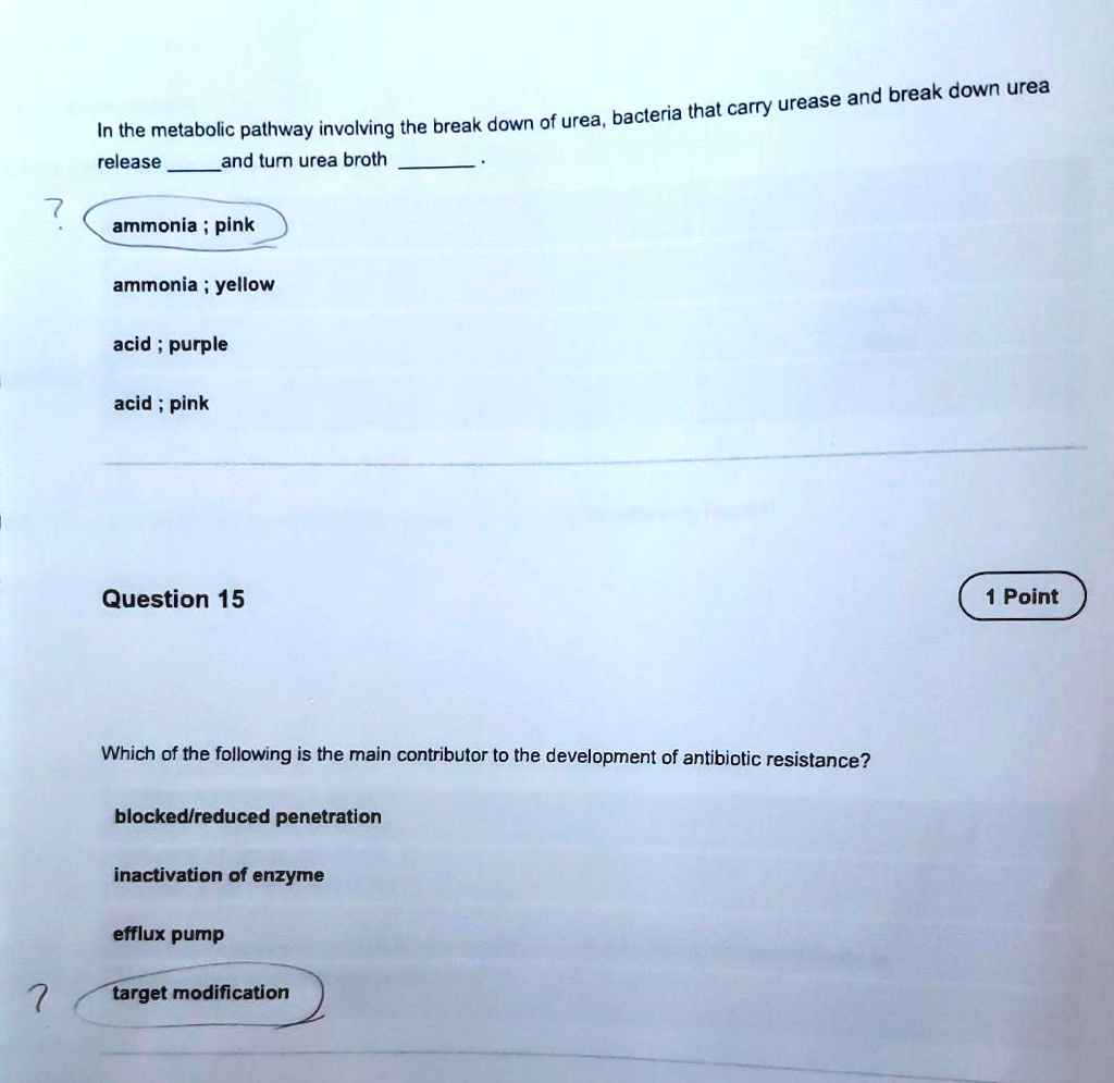 SOLVED:and break down urea bacteria that carry urease In the metabolic ...