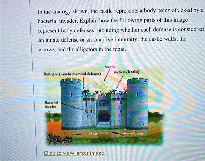 In the analogy shown, the castle represents a body being attacked by a ...