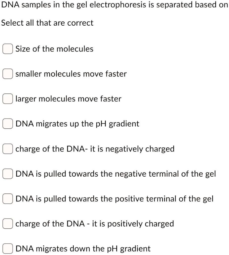 SOLVED: DNA samples in the gel electrophoresis is separated based on ...