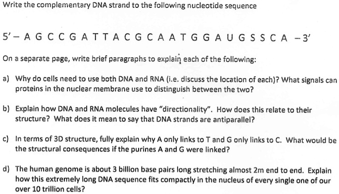 SOLVED: Write the complementary DNA strand to the following nucleotide ...