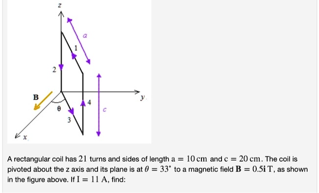 A rectangular coil has 21 turns and sides of length a = 10 cm and c ...