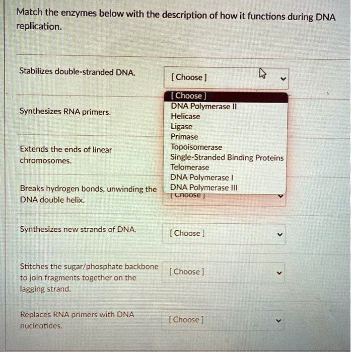 SOLVED: Texts: Match the enzymes below with the description of how it ... SOLVED: Texts: Match the enzymes below with the description of how it ...