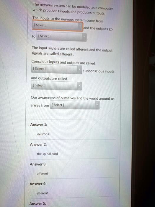 SOLVED: The nervous system can be modeled as a computer that processes inputs and produces ...
