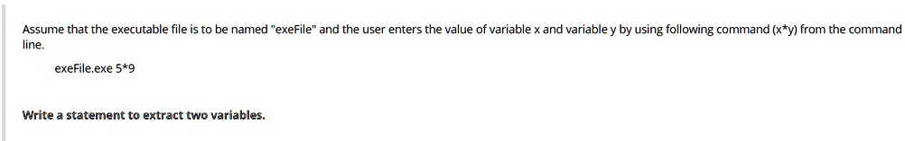 Solved C Programming Assume That The Executable File Is To Be Named Exefile And The User 9442