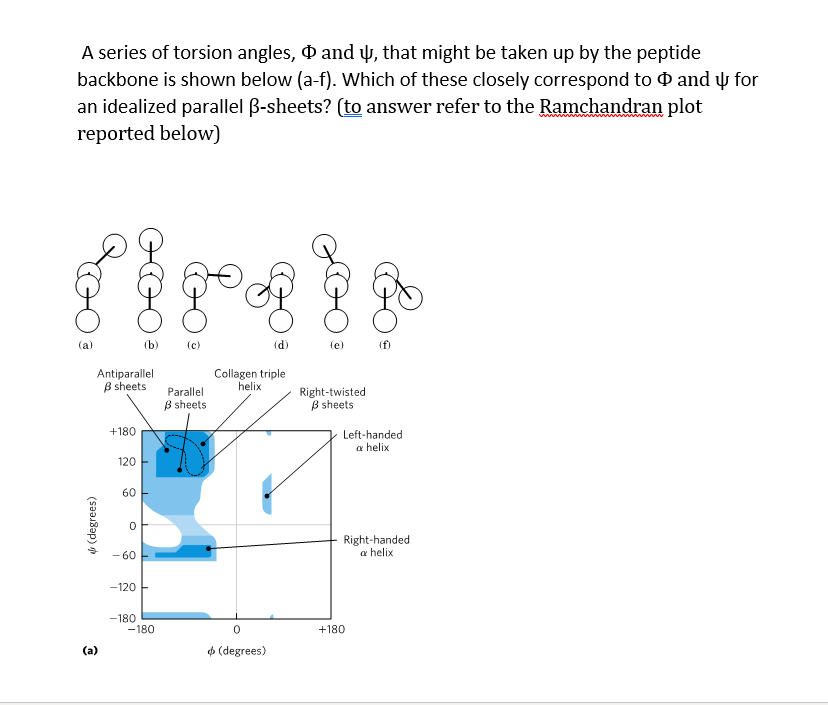 Solved A Series Of Torsion Angles Φ And ψ That Might Be Taken Up By The Peptide Backbone Is