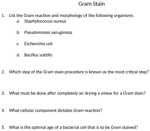 Gram Stain 1. List the Gram reaction and morphology of the...