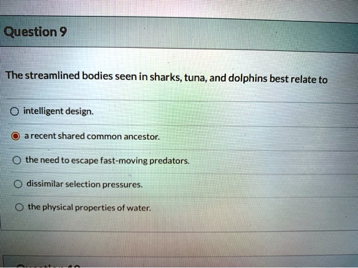 question 9 the streamlined bodies seen in sharks tuna and dolphins best ...