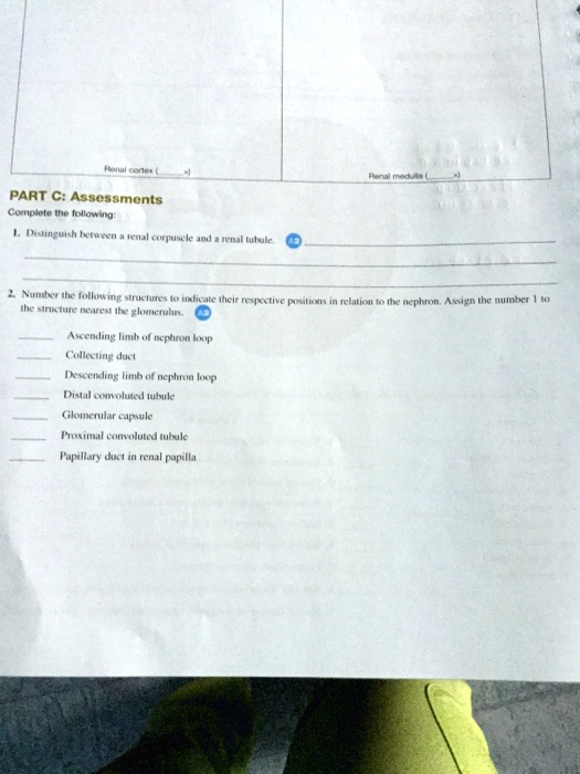 SOLVED: PART C Assessments: Complete the following: I. Distinguish ... SOLVED: PART C Assessments: Complete the following: I. Distinguish ...