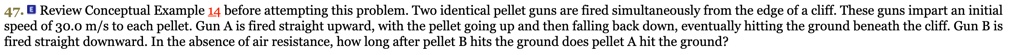 SOLVED: Review Conceptual Example before attempting this problem: Two identical pellet guns ...