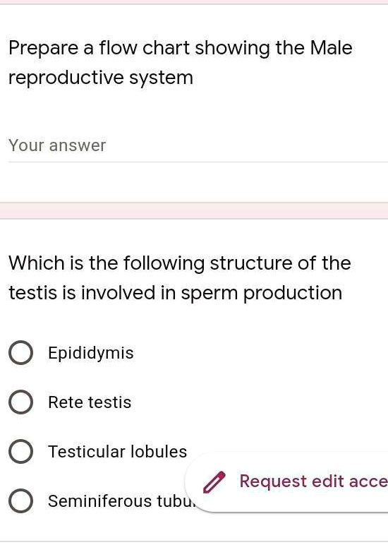Prepare a flow chart showing the Male reproductive system Your answer ...