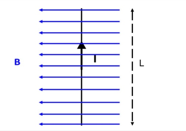 B L