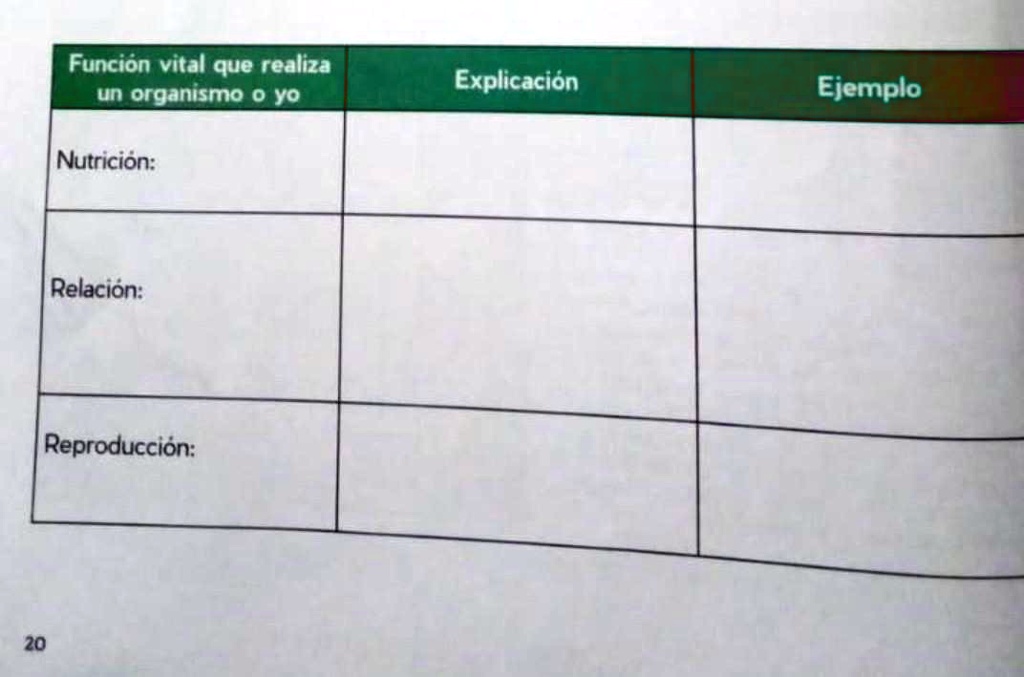 SOLVED: Quien me Ayuda para yaa porfa Función vital que realiza un ... SOLVED: Quien me Ayuda para yaa porfa Función vital que realiza un ...