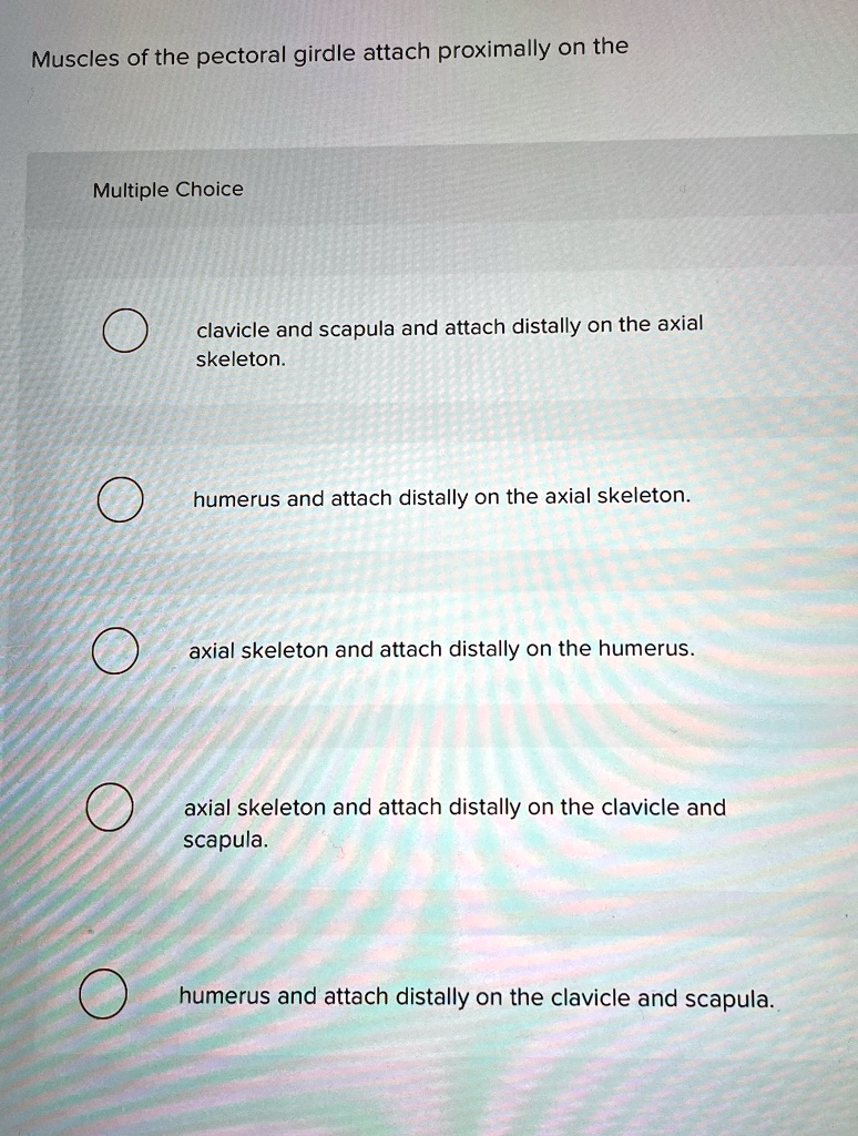 muscles of the pectoral girdle attach proximally on the multiple choice ...