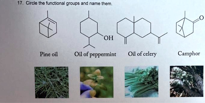 [GET ANSWER] 17 circle the functional groups and name them oh pine oil ...