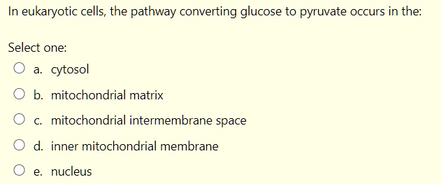 SOLVED: In eukaryotic cells, the pathway converting glucose to pyruvate ...