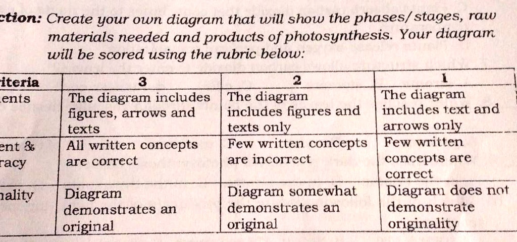 ction: Create your own diagram that will show the phases/stages, raw ...