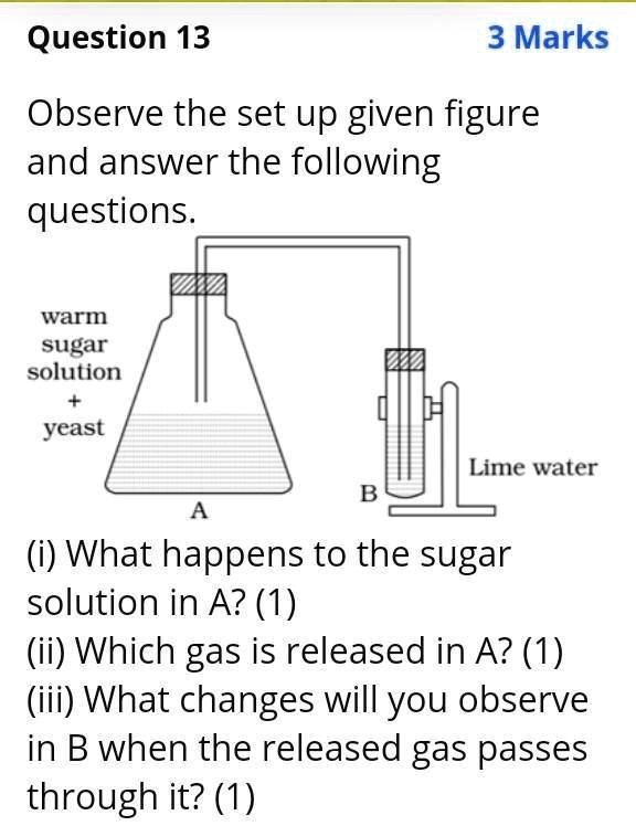 VIDEO solution: 'please give me answer Question 13 3 Marks Observe the ...