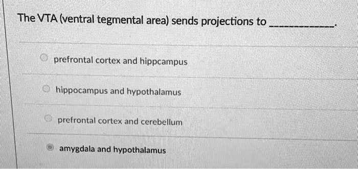 The VTA (ventral tegmental area) sends projections to . ? prefrontal ...