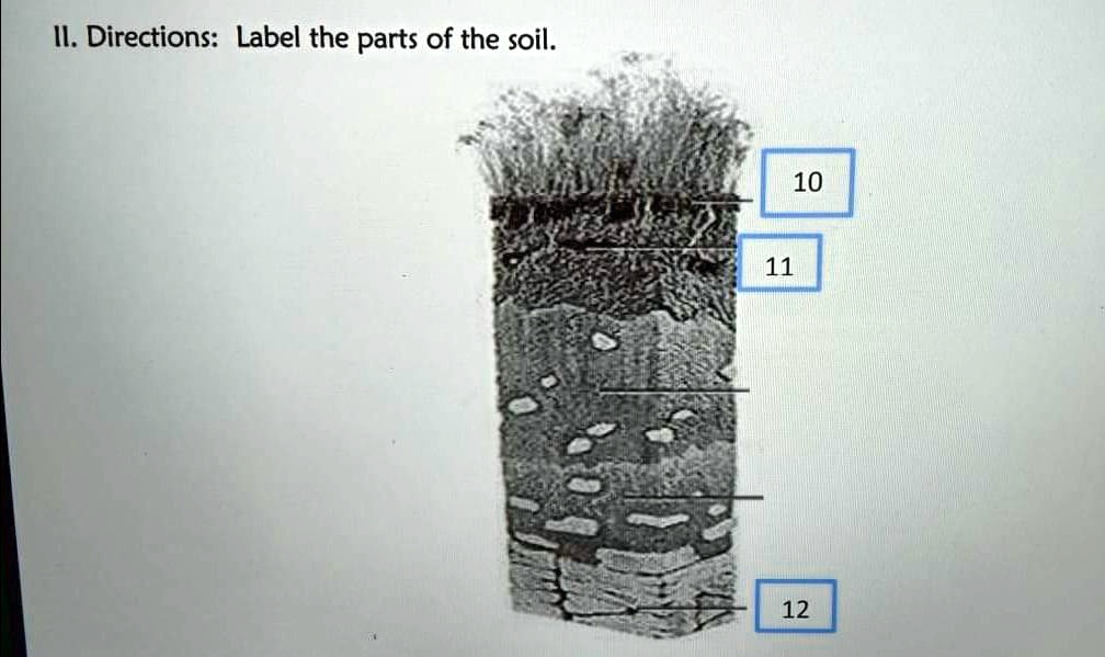 SOLVED: Directions: Label the parts of the soil. 10 11 12 II ...