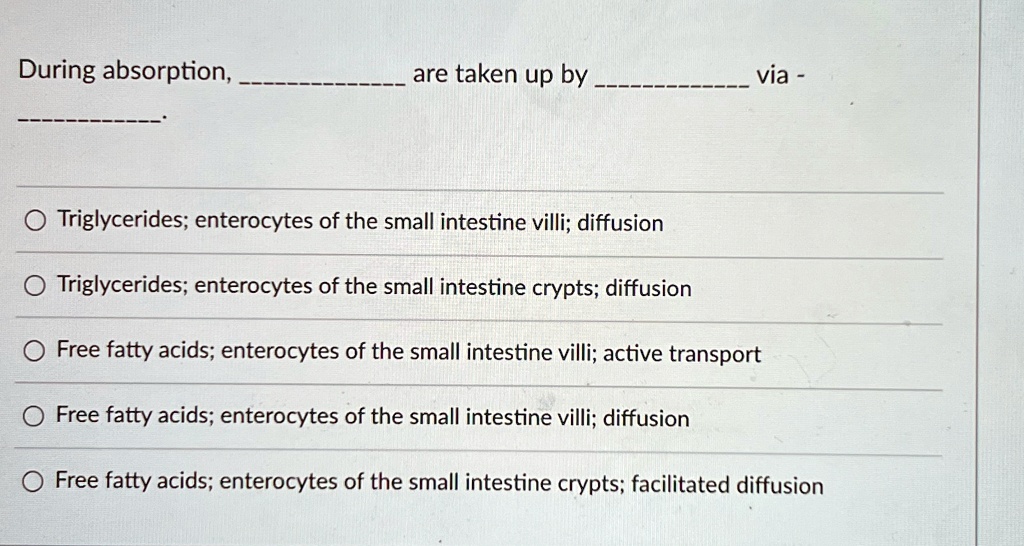 during absorption are taken up by via triglycerides enterocytes of the ...