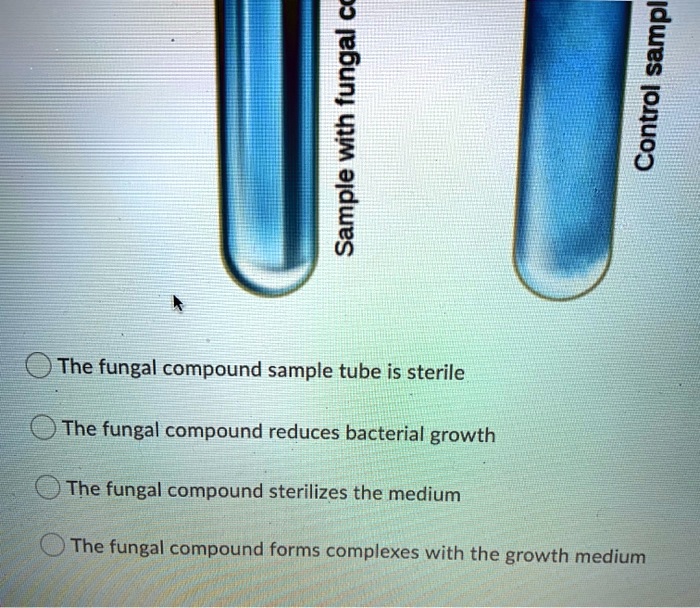 0 fungal with sample sampl control the fungal compound sample tube is ...