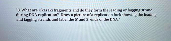 SOLVED:"8,What are Okazaki fragments and do they form the leading or ...