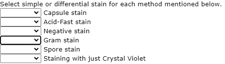 Select simple or differential stain for each method mentioned below ...