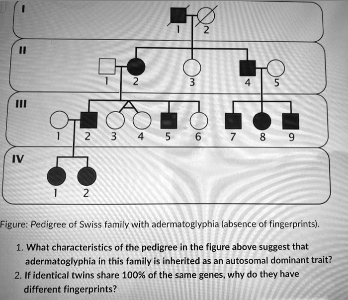II 1 2 1 2 3 4 5 1 2 3 4 5 6 7 8 9 IV 1 2 Figure: Pedigree of Swiss ...