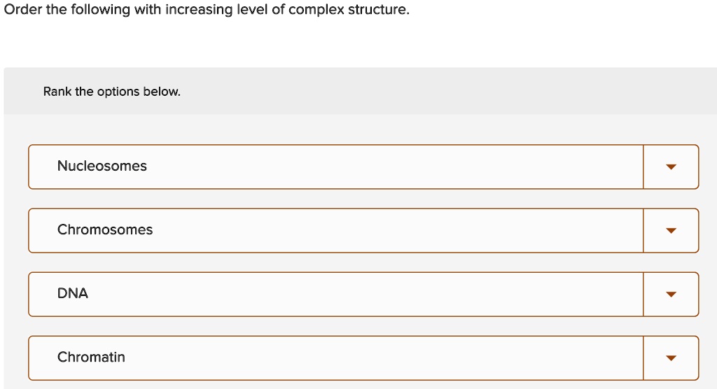 Order the following with increasing level of complex structure Rank the ...