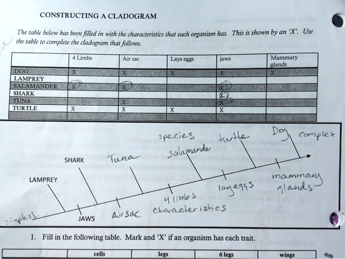 SOLVED: CONSTRUCTING A CLADOGRAM The table below = has been filled in with the characteristics ...