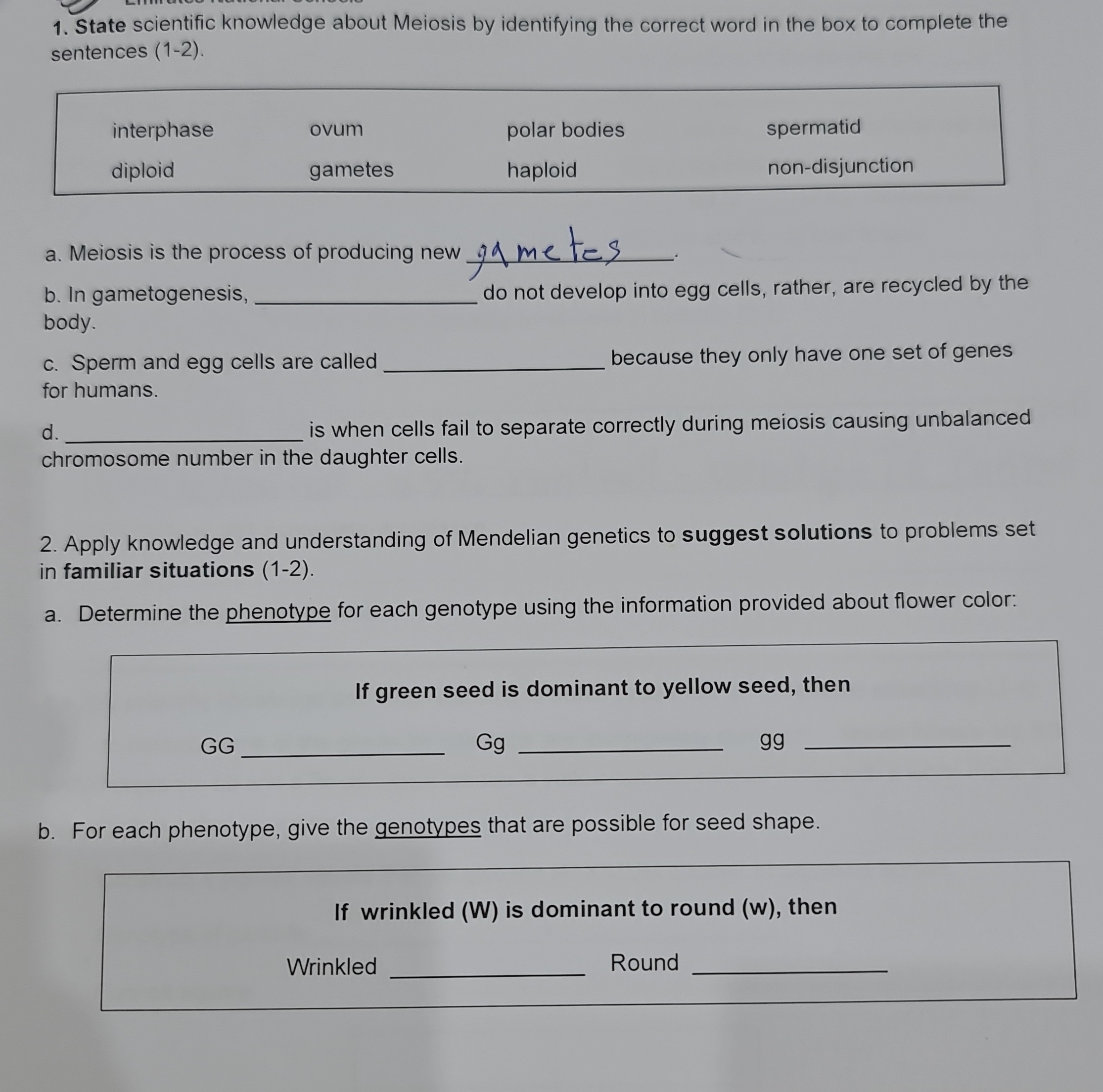 SOLVED: 1. State scientific knowledge about Meiosis by identifying the ...