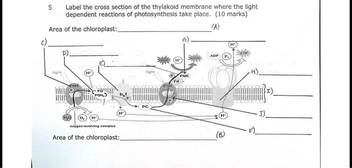 SOLVED: Need help ASAP, please provide a good explanation for the ... SOLVED: Need help ASAP, please provide a good explanation for the ...