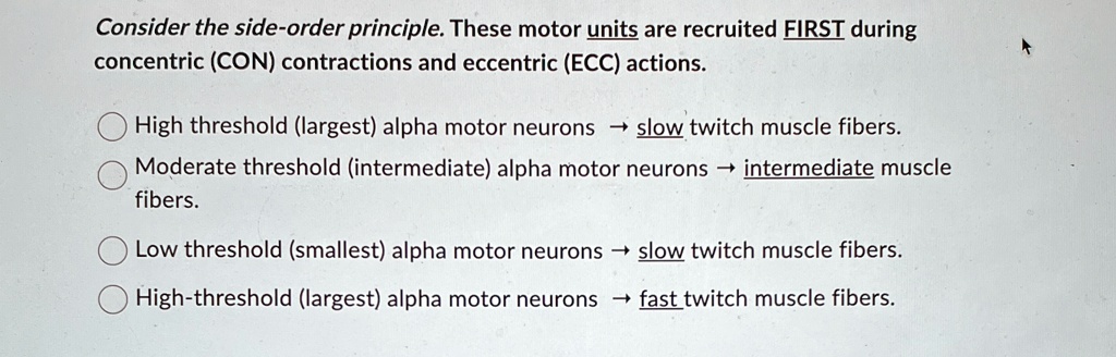 consider the side order principle these motor units are recruited first ...