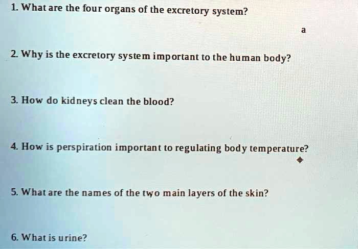 SOLVED: 1 What are the four organs of the excretory system? 2 Why is ...