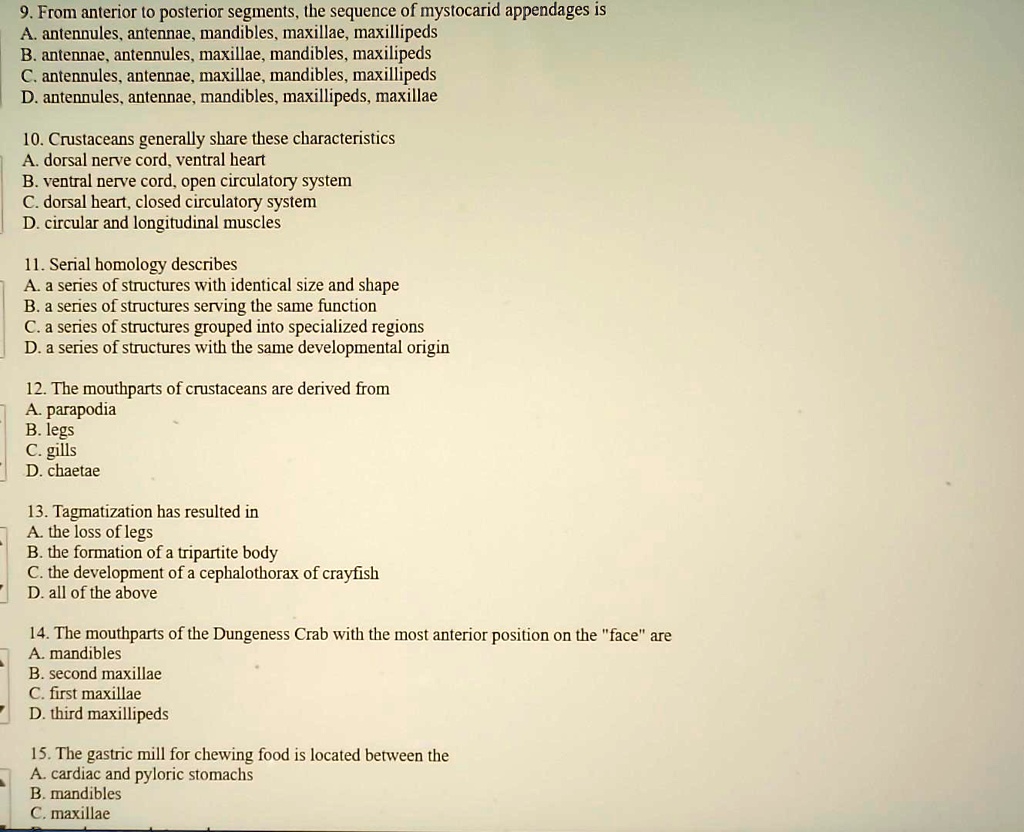 9 from anterior to posterior segments the sequence of mystocarid ...