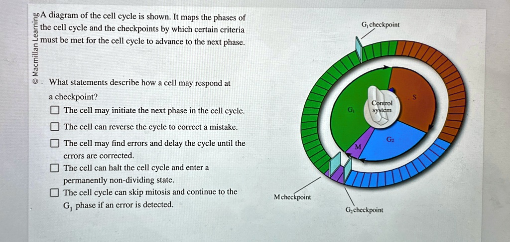 a diagram of the cell cycle is shown it maps the phases of the cell ...